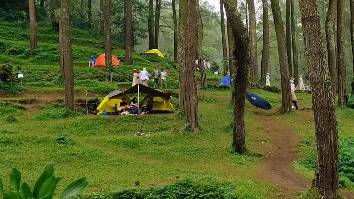 Lembah Pasir Sumbul: Hutan Pinus Dan Keajaiban Alam Di Parabon Lembah Pasir Sumbul: Hutan Pinus Dan Keajaiban Alam Di Parabon